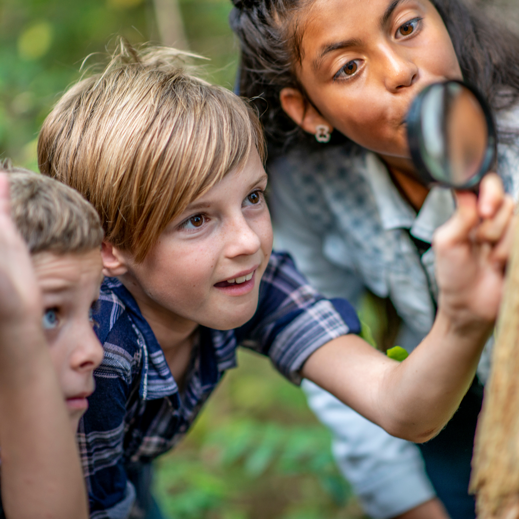 Duck Maze Sheet - Free – Gumboot Kids