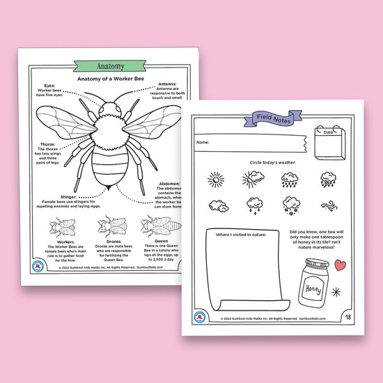 Nature, Gratitude, Mindset - Bees Activity Pack (Ages 4+) – Gumboot Kids